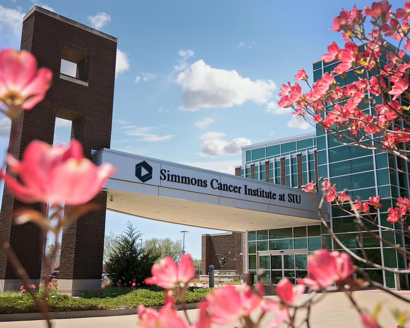 Simmons Cancer Institute at SIU | Mesothelioma Treatment